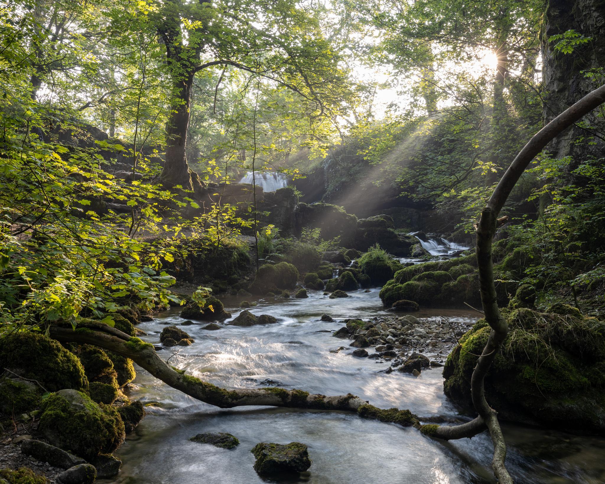 Goredale Beck and Janets Foss | Kris Brown Photography